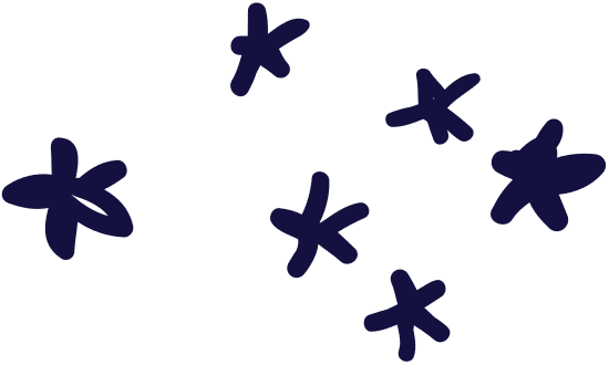 Paff Collection – Canva