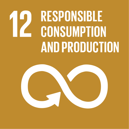 Sustainable Development Goals – Canva