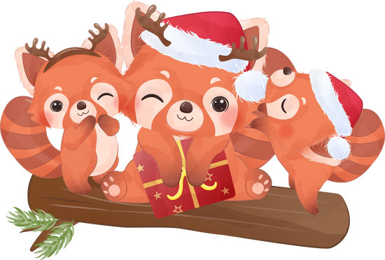 Susu Studio – Canva