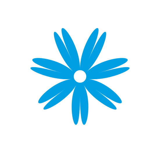 ANNA GRAPH' – Canva