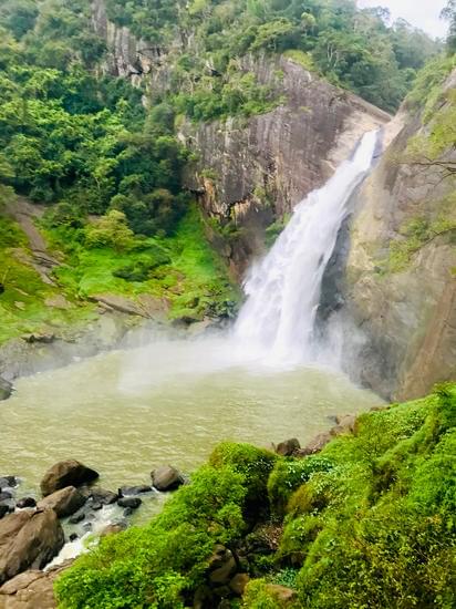 Ransi Dissanayake's Images – Canva