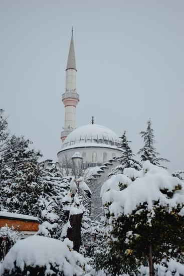 Turkey Photos – Canva