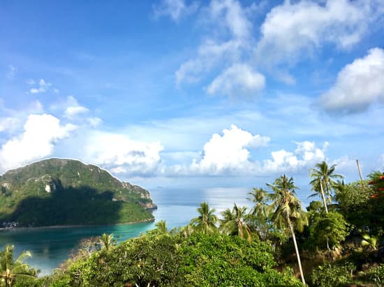 ภาพของDaarsan – Canva